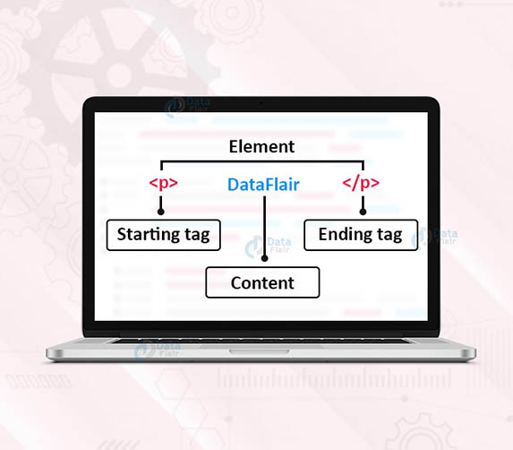 Coding Club | STEMshala